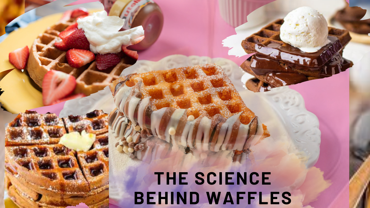 The Science Behind Waffles: Why They’re the Idealize Consolation Food - MR. BHUKHHAD
