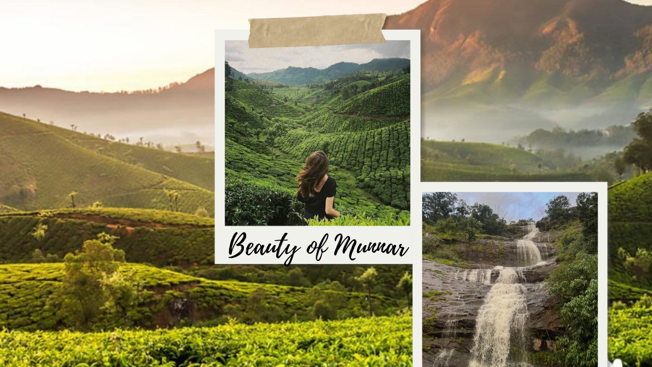 Tea Estates, Misty Valleys, and More: Explore the Beauty of Munnar - MR ...